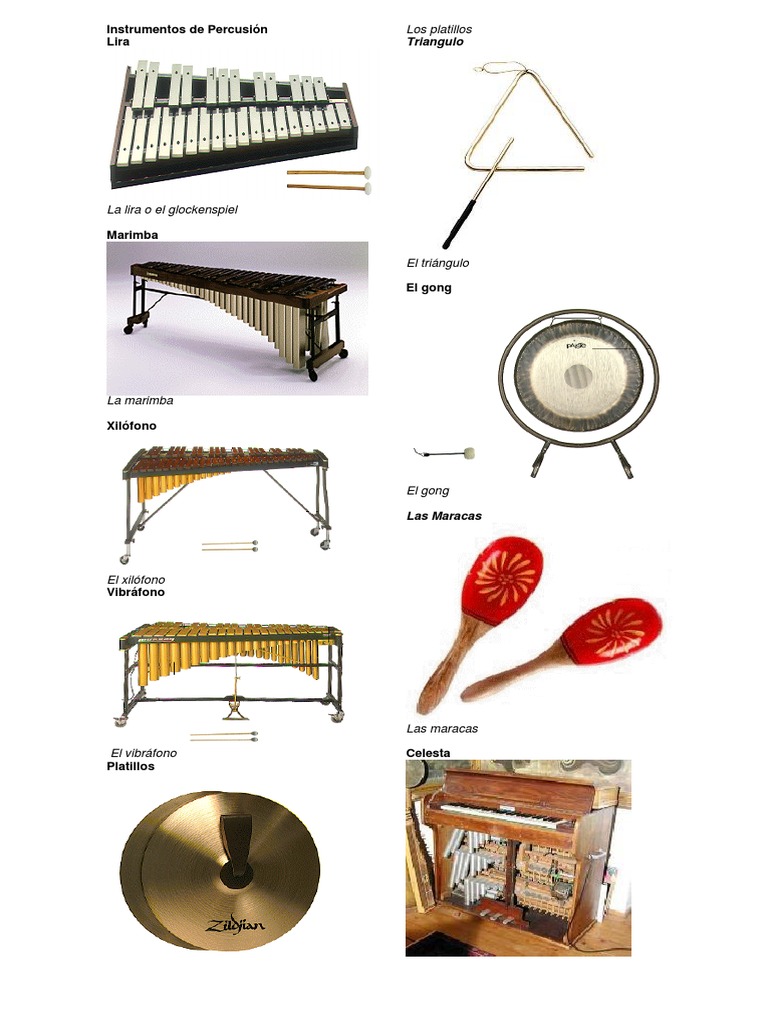Instrumentos de Percusión de Cuerda y Viento | PDF | Instrumentos de ...