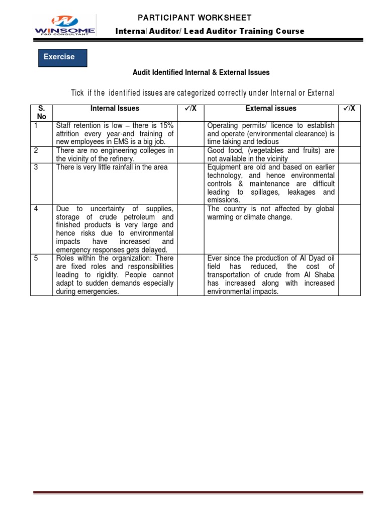 Internal & External Issues Audit Examples | PDF