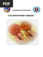Cultivo Axénico | PDF