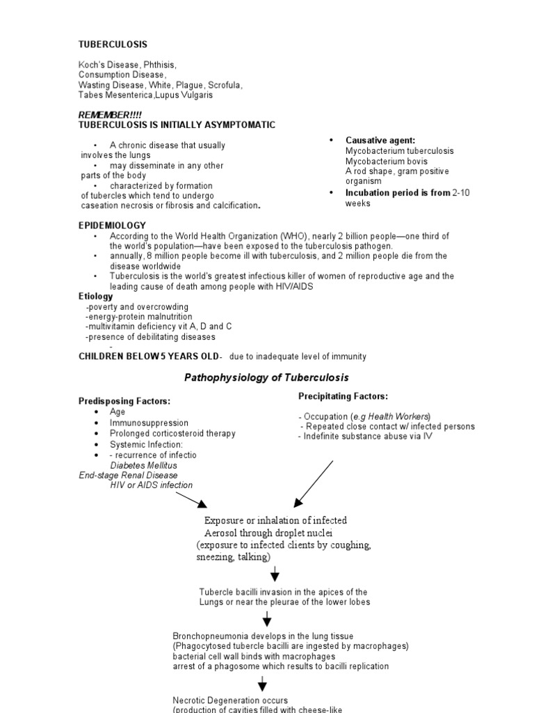 Tuberculosis | PDF | Tuberculosis | Infection