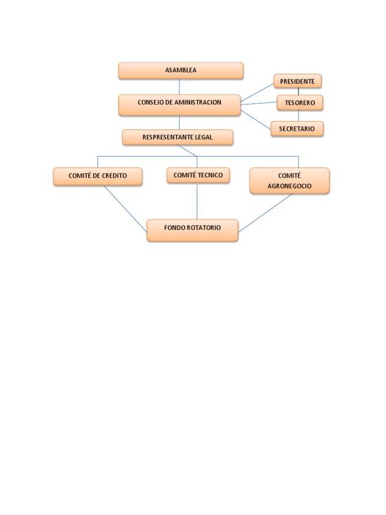 Organigrama de Una Cooperativa PDF | PDF