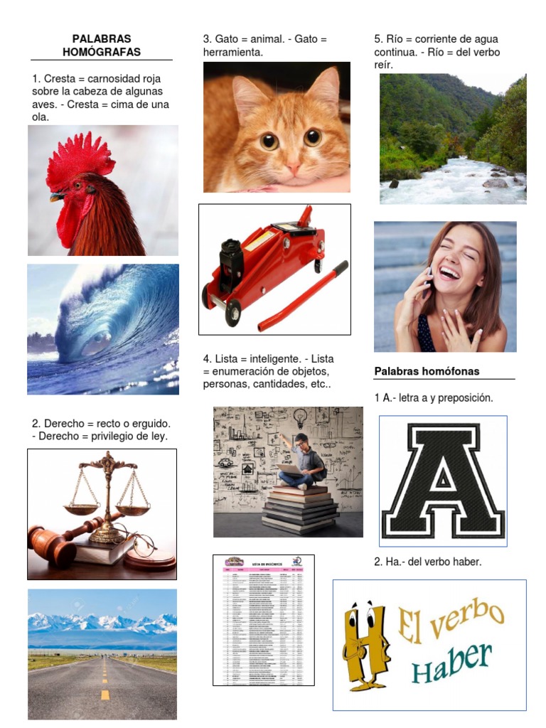 5 - Homógrafas Homofonas Sinonimos Antonimas - Imagenes | PDF
