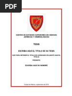 Formato Portada Portadilla Tesis-Unam | PDF | Ciencia y matemáticas