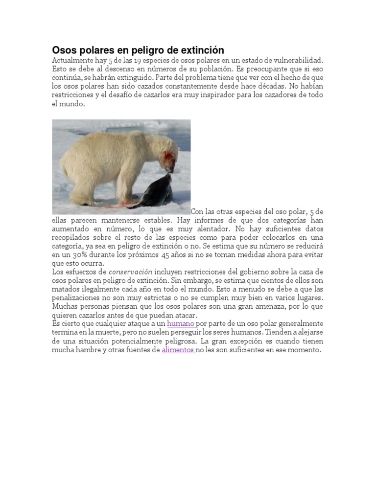 Oso Peligro De Extinción Pdf Oso Polar Extinción
