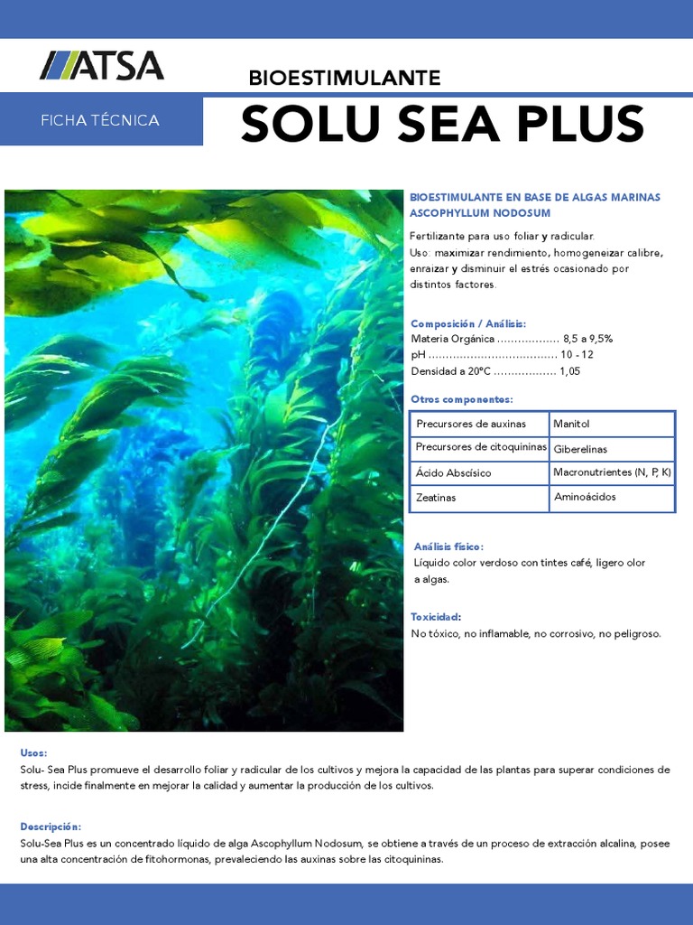 Solu Sea PDF | PDF | Horticultura y jardinería | Plantas