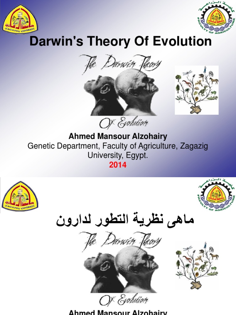Darwin S Theory of Evolution | PDF | Natural Selection | Evolution