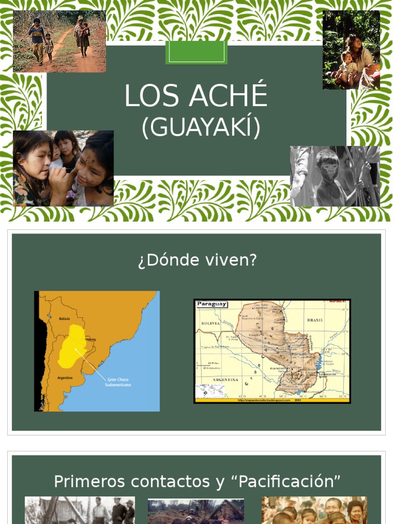 Vida y cultura de los aché-guayakí | PDF