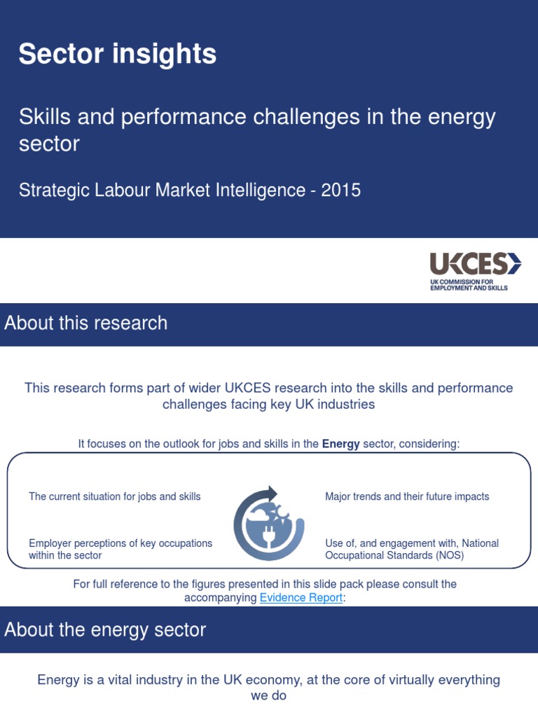 Sector Insights: Skills and Performance Challenges in The Energy Sector ...