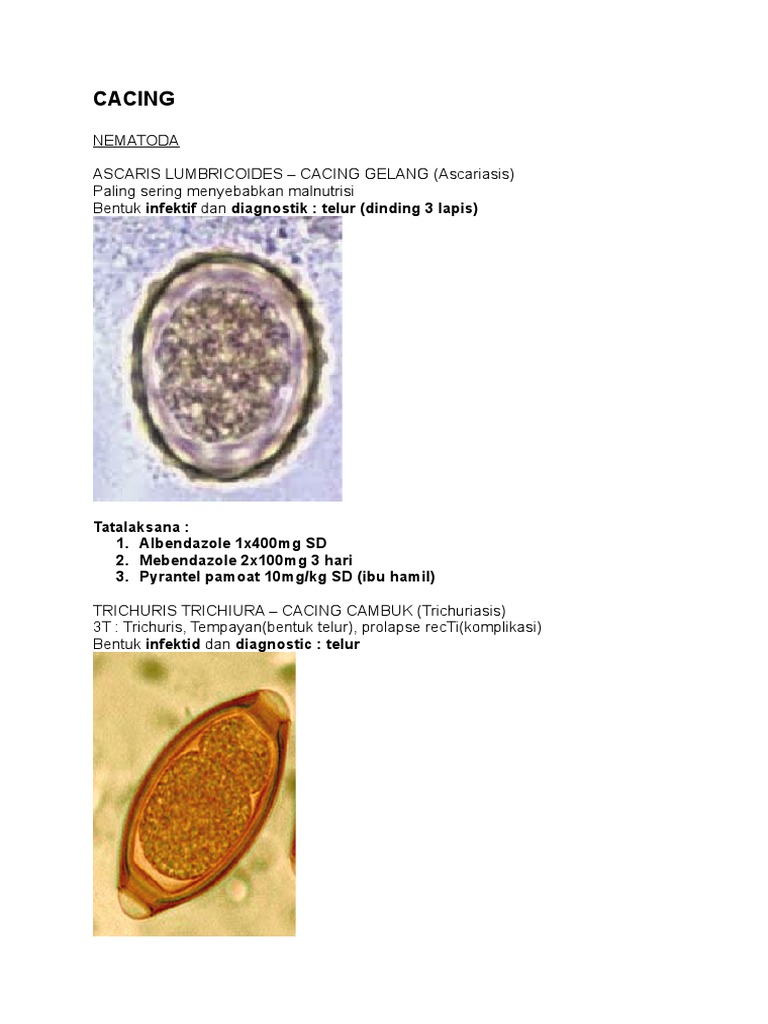 Panduan Singkat Infeksi Cacing | PDF