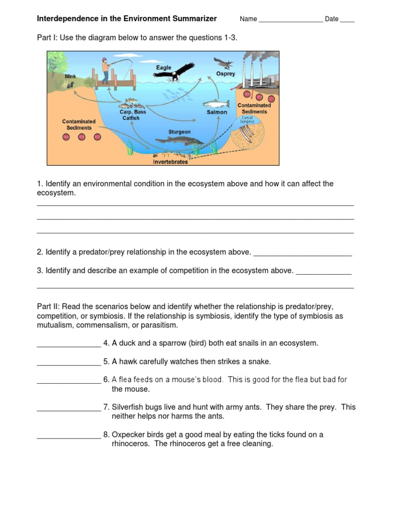Interdependence in The Environment | PDF