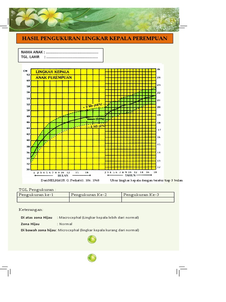 Format Grafik Lingkar Kepala | PDF