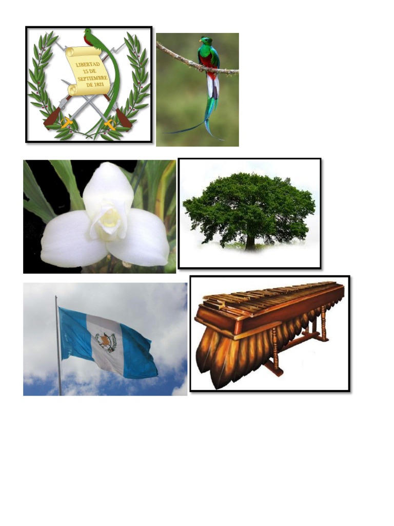 Simbolos Patrios de Guatemala | PDF