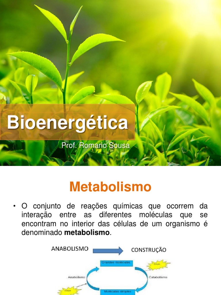 Bioenergética PDF | PDF | Fermentação | Respiração celular