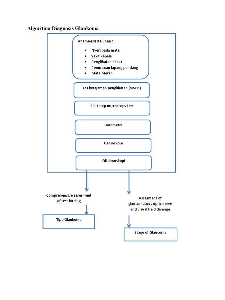 Algoritma Diagnosis dan Tatalaksana Glaukoma | PDF