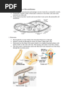 Circulation in Arthropods | PDF | Circulatory System | Heart