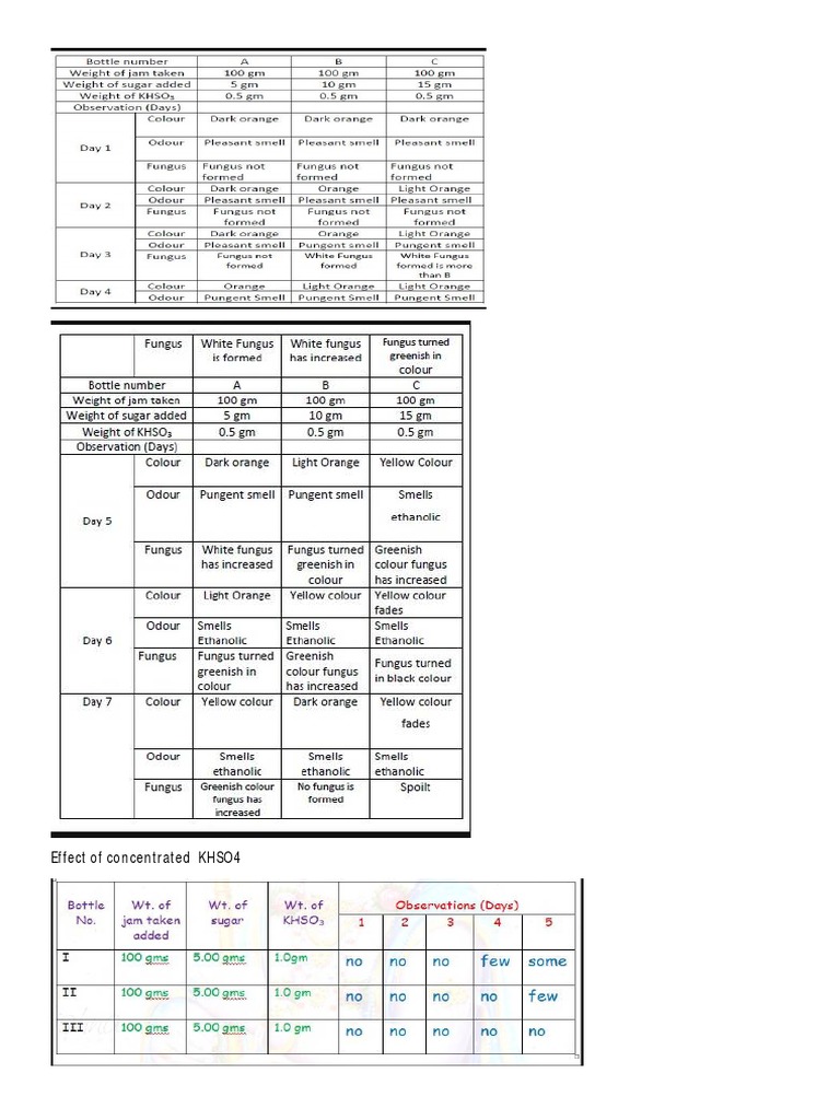 Effects of Preservatives | PDF