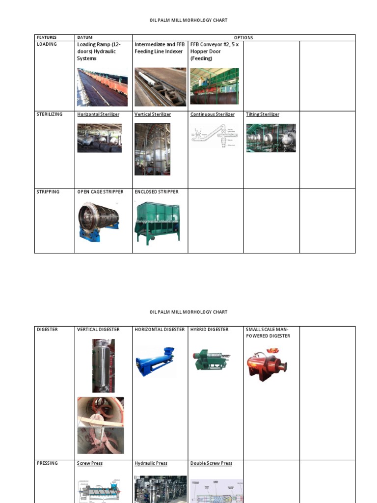 loading-ramp-12-doors-hydraulic-systems-intermediate-and-ffb-feeding