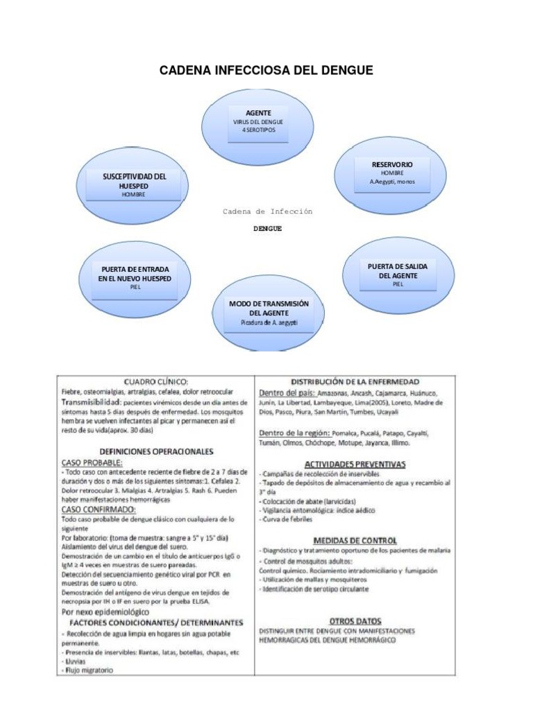 Cadena Infecciosa Del Dengue | PDF