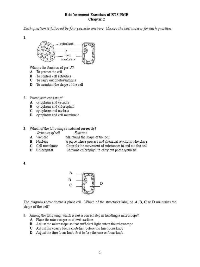 RTS PMR Question Bank Chapter 2 2008 | PDF | Tissue (Biology) | Vacuole