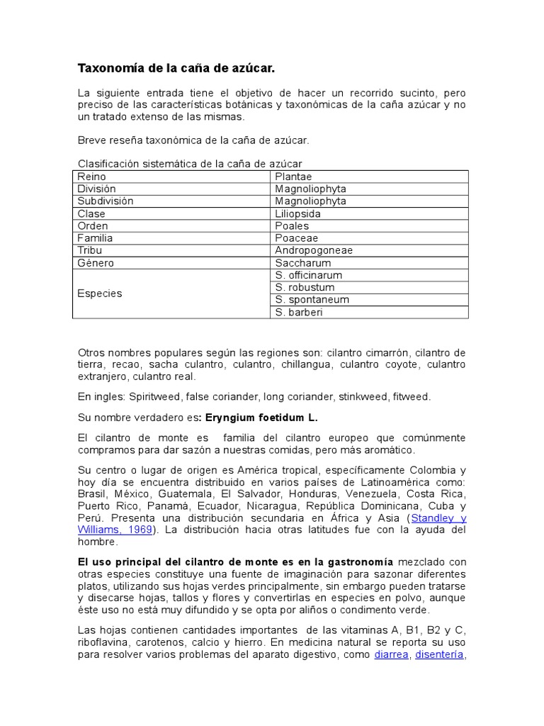 Taxonomía del Cilantro de Monte | PDF | Botánica | Plantas