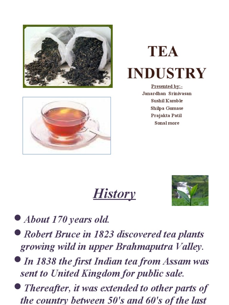 Origin of Tea in India | PDF | Tea | Swot Analysis