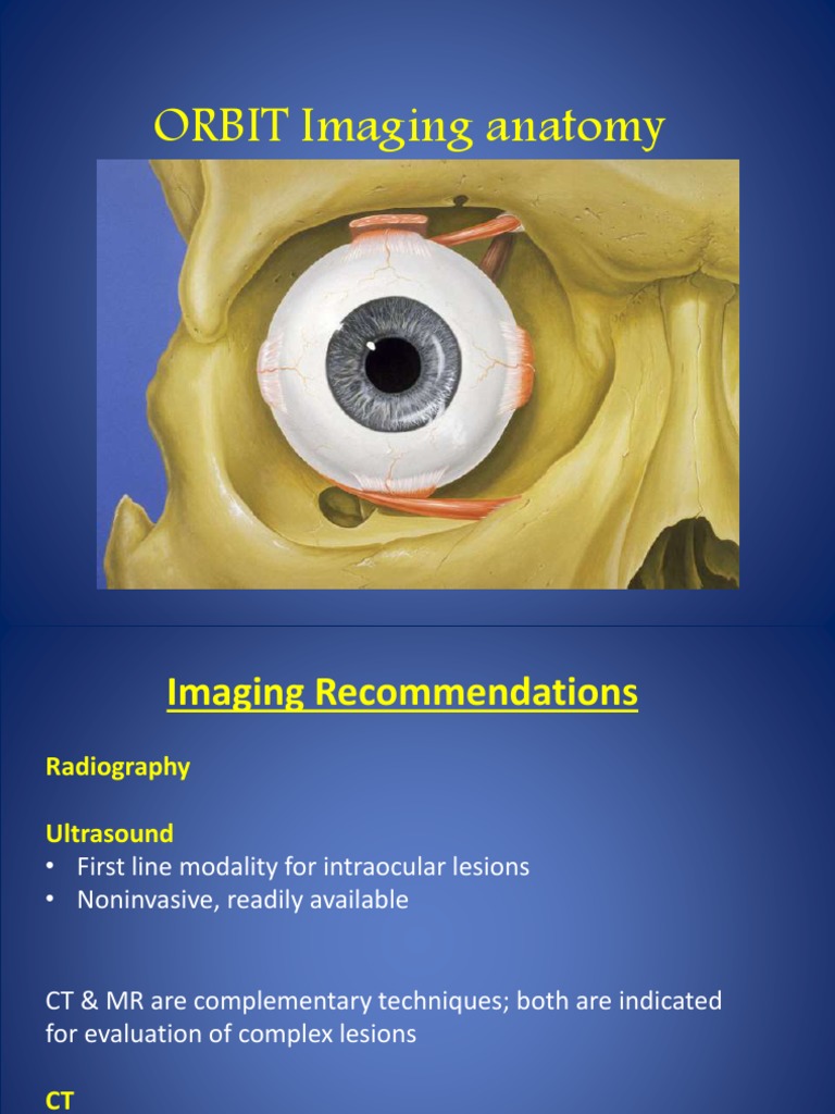 Orbit Imaging Techniques and Protocols | PDF | Skeletal System ...