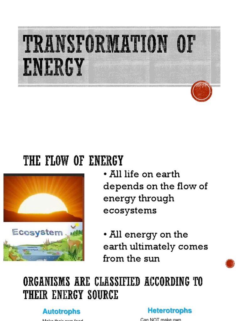 Lesson 9.1 Apt Adp Cycle | Download Free PDF | Adenosine Diphosphate ...