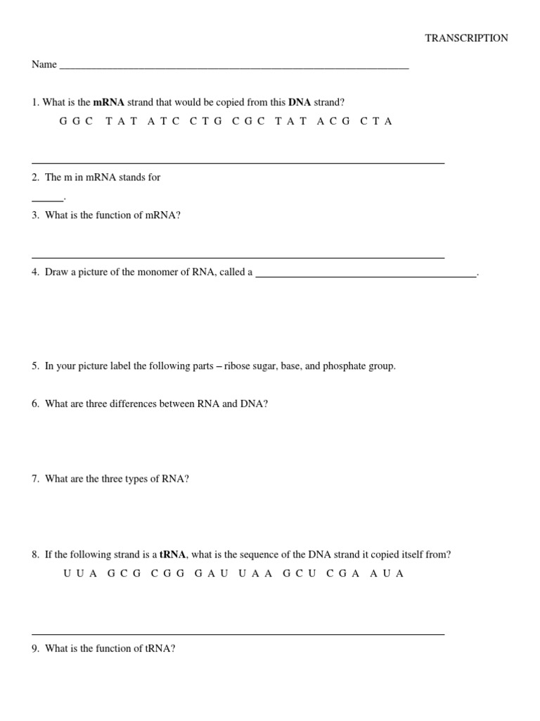 RNA Transcription and Functions Worksheet | PDF | Rna | Messenger Rna