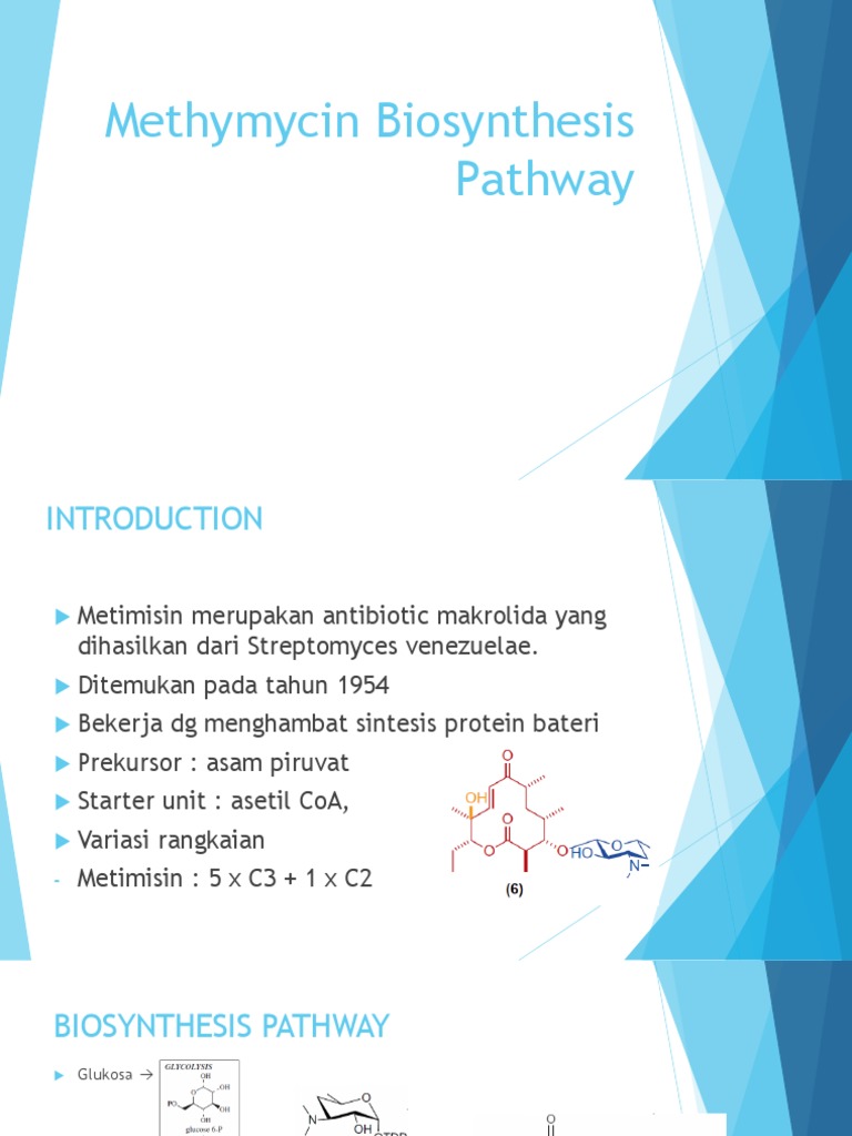 Methymycin Biosynthesis Pathway | PDF | Biomolecules | Life Sciences