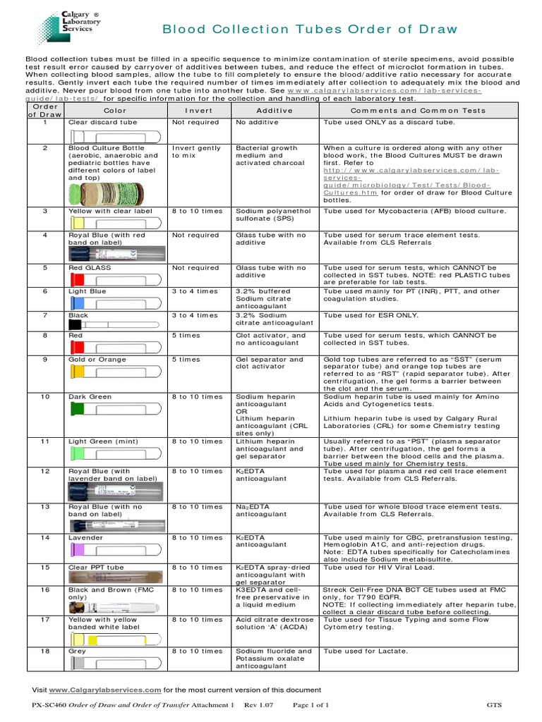The Proper Order of Blood Draw: A Guide to Minimizing Contamination and ...