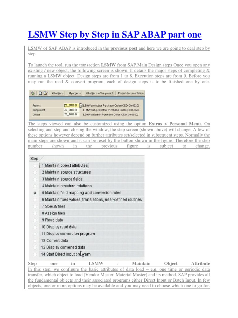 LSMW Step by Step in SAP ABAP Part One-Two | PDF | Data Management ...