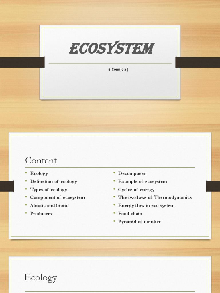 in Ecosystem | PDF | Ecology | Food Web