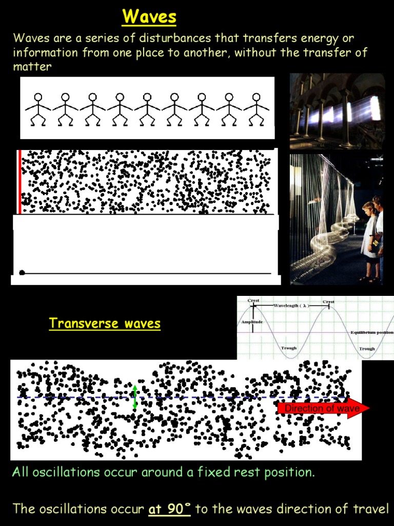 Understanding Transverse and Longitudinal Waves | PDF | Waves | Amplitude