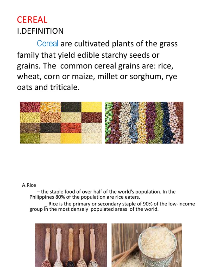 Cereals | PDF | Wheat | Cereals