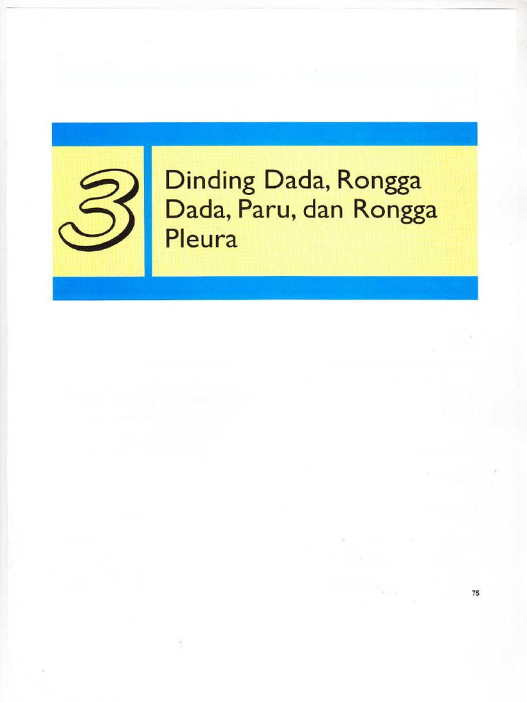 Bab 3 Dinding Dada, Rongga Dada, Paru, Dan Rongga Pleura PDF | PDF