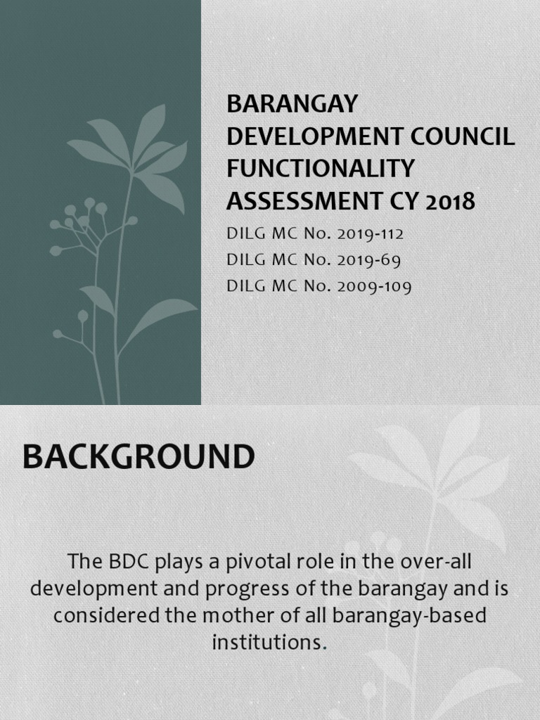 BDC Functionality Assessment | PDF | Social Institutions | Social Science