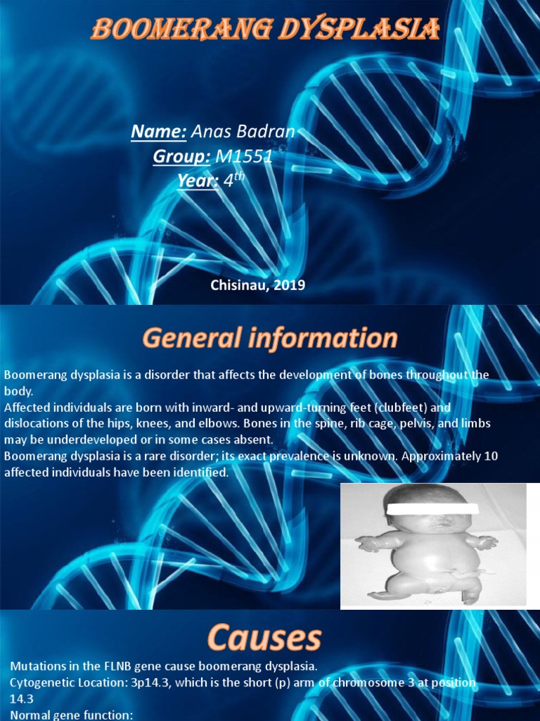 Name: Anas Badran Group: M1551 Year: 4: Chisinau, 2019 | PDF ...