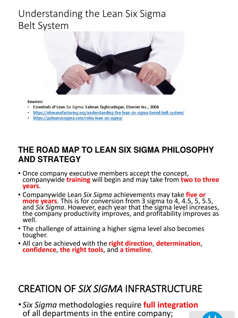 Understanding The Lean Six Sigma Belt System | PDF | Six Sigma | Leadership