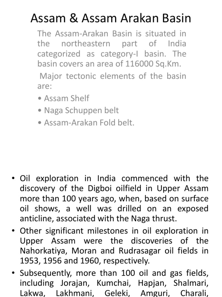 Assam & Assam Arakan Basin | PDF | Petroleum Reservoir | Sedimentary Rock