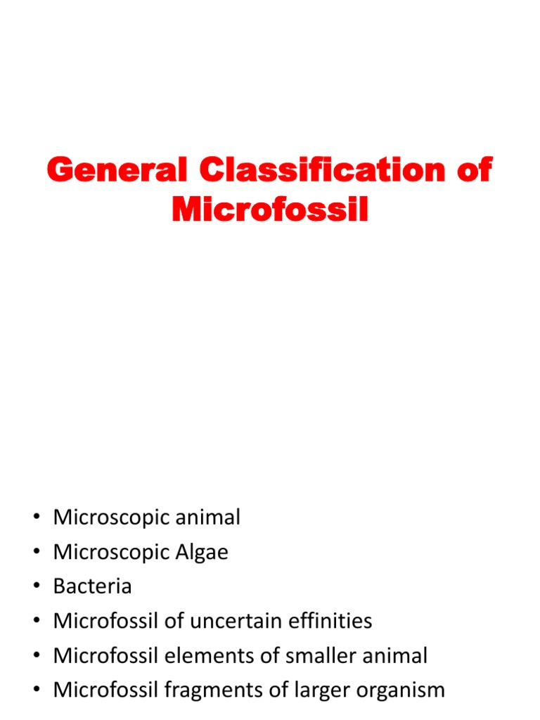 General Classification of Microfossils | PDF | Protozoa | Organisms