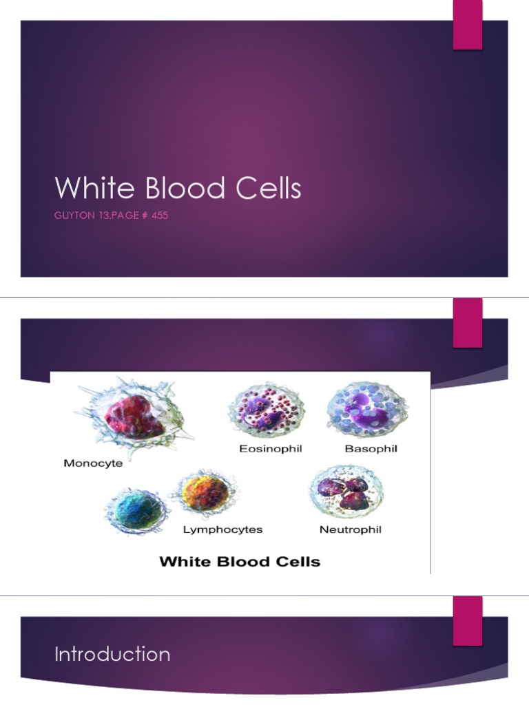 White Blood Cells: GUYTON 13, PAGE # 455 | PDF | Granulocyte | White ...