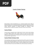 Goat Farming Project Report 500 20 Goats | PDF | Goat | Agriculture