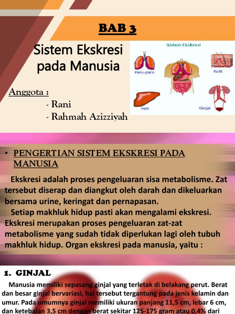 Mind Mapping Ipa (Struktur Pada Tumbuhan) | PDF