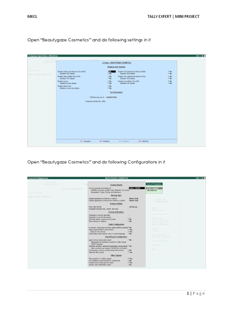 MKCL Tally Expert - Mini Project | PDF