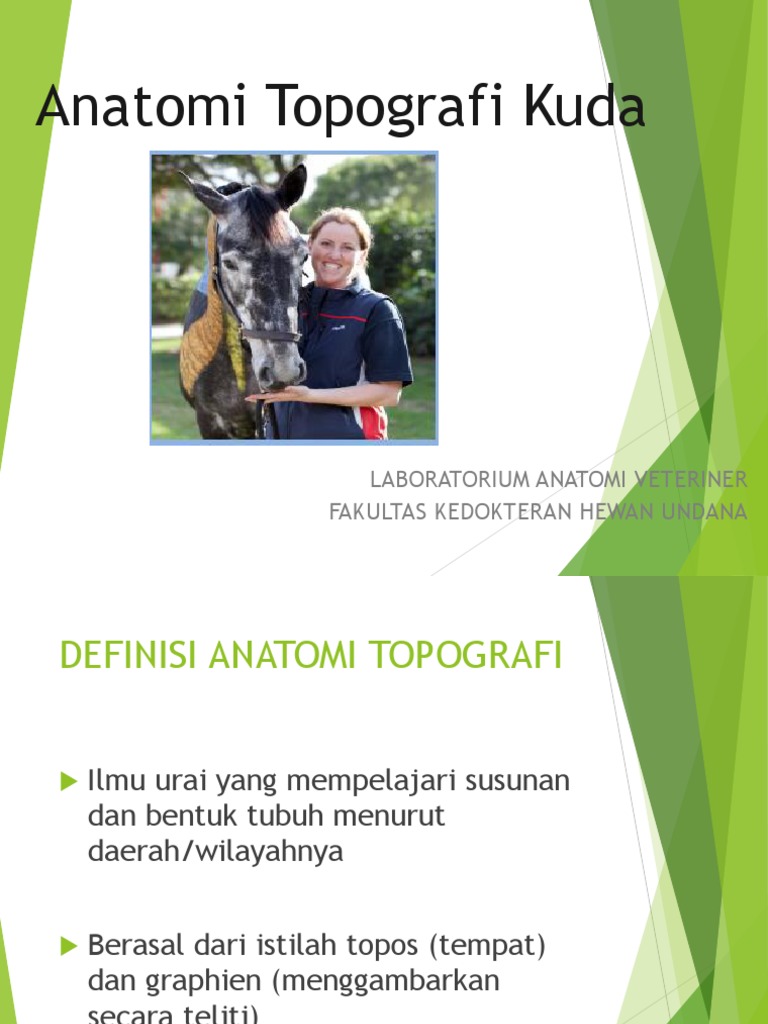 Anatomi Exterior Kuda | PDF