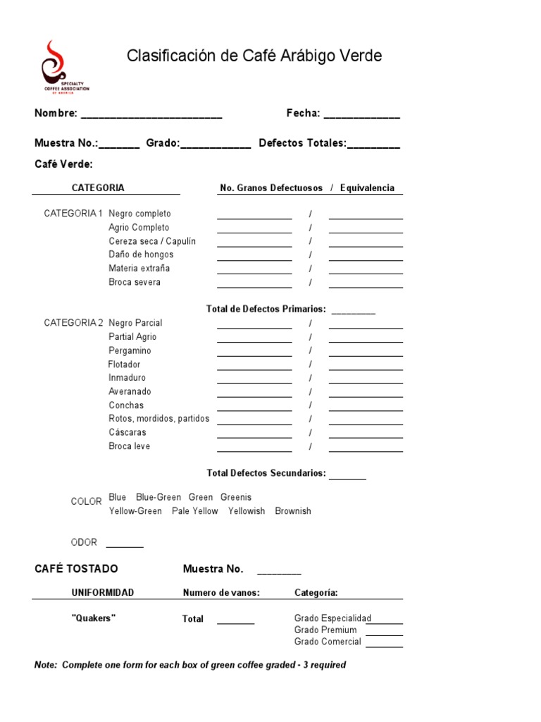 Clasificacion Cafe Verde SCAA | PDF