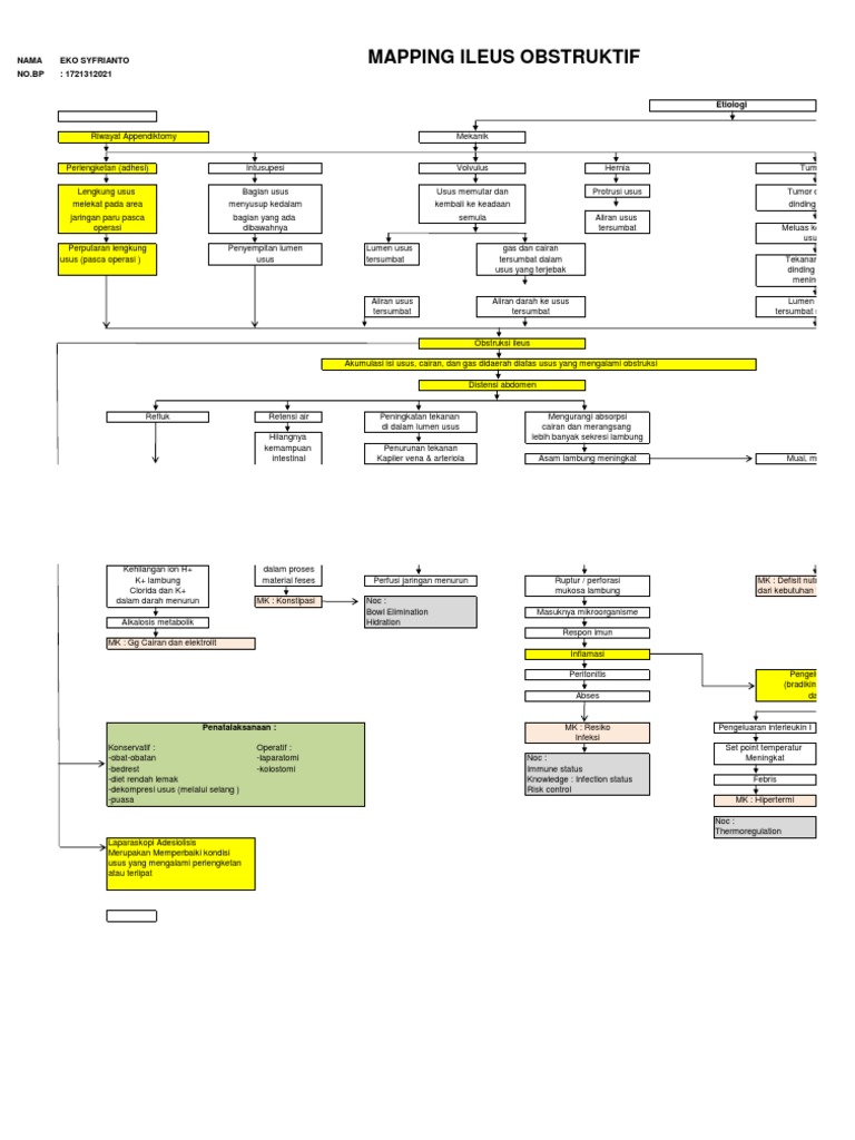 Patofisiologi dan Penatalaksanaan Ileus Obstruktif | PDF