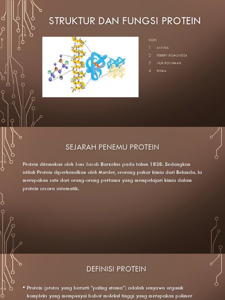 Struktur dan Fungsi Protein dalam Biologi | PDF | Kesehatan Holistik