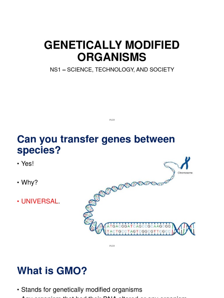 10 Gmo PDF | PDF | Genetically Modified Organism | Genetic Engineering
