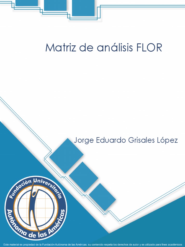 Matriz de Análisis FLOR: Guía Práctica | PDF | Planificación | Marketing